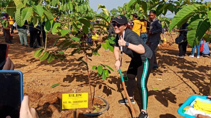 Bule Asal Panama Ini Senang Tanam Pohon Ulin - Banjarmasinpost.co.id