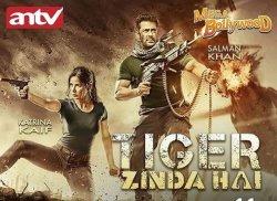 Sinopsis Tiger Zinda Hai, Film India Tayang di ANTV Dibintangi Salman Khan dan Katrina Kaif ...