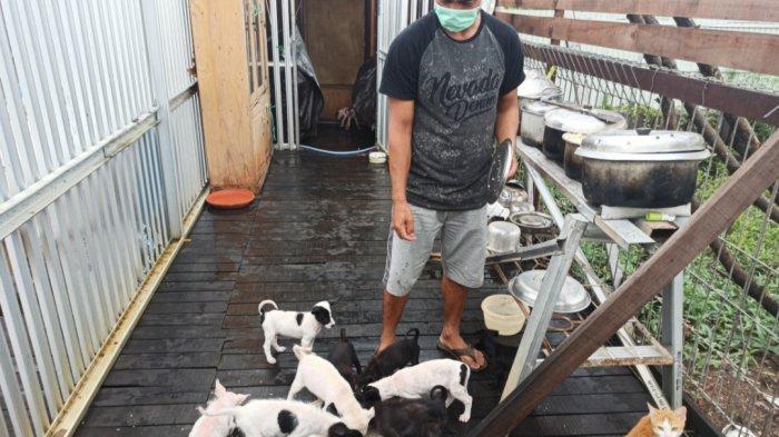 Pelihara Hampir 70 Anjing, Makanan Yang Diberikan Tak Bisa Sembarangan ...