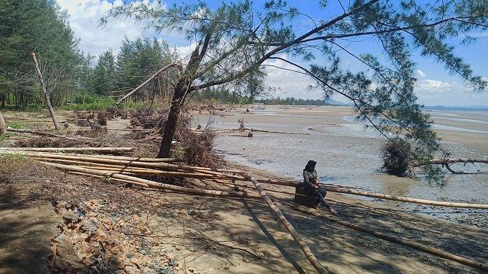 Abrasi Pantai Terus Terjadi, Wilayah Pantai Rindu Alam Terkikis ...
