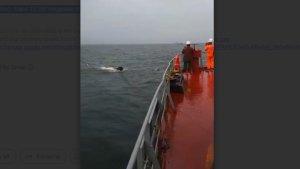 Update Kapal TB Bina 208 Tenggelam di Perairan Tabuneo Kalsel, Berikut ...