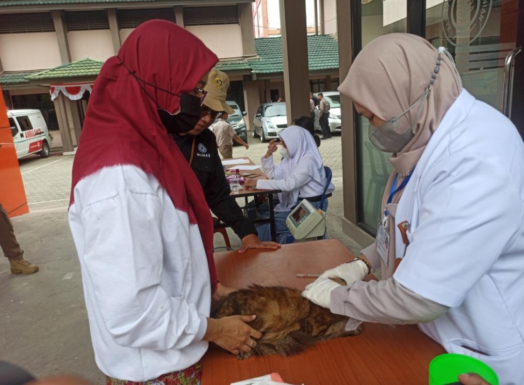 Gelar Vaksinasi Rabies, DKP3 Kota Banjarmasin Targetkan Suntik 200 ...
