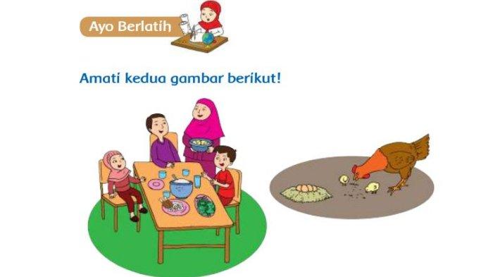 KUNCI JAWABAN Tema 1 Kelas 3 SD Halaman 23 24, Apakah Persamaan dari ...