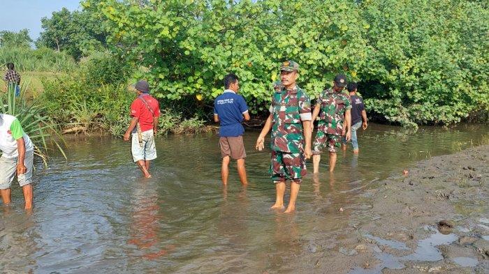 Jaga Kelestarian Lingkungan, Kodim 0603 Lebak Gelar Penanaman Mangrove ...