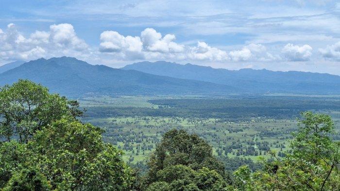 Potret Indahnya Pemandangan dari Penenjoan Rawa Dano, Tempat Wisata ...