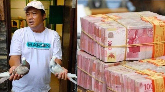 Burung Merpati "Rampok" Harganya Rp 2 Miliar, Ternyata Ini yang ...