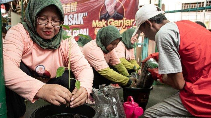 Emak-emak Relawan Ganjar Pranowo Presiden 2024 Bagi-bagi Ribuan Pot Pohon Cabai di Cengkareng ...