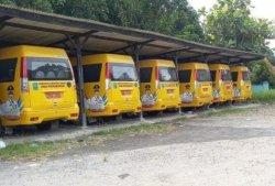 Bus Sekolah Gratis di Tangerang Selatan, Berikut Cara Akses, Jadwal ...