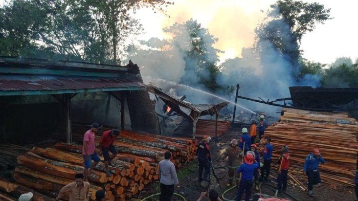 Pabrik Kayu di Serang Terbakar, Kerugian Ditaksir Ratusan Juta Rupiah - Tribunbanten.com