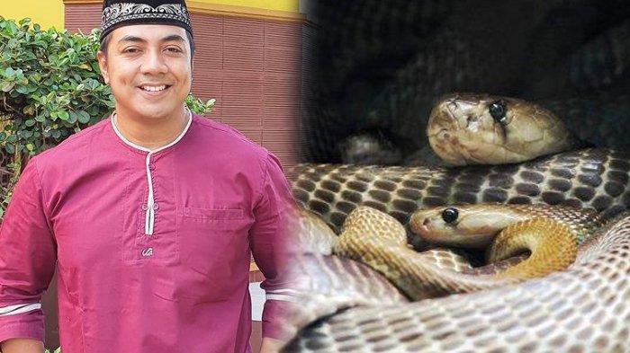 Rumah Ustaz Riza Muhammad Dimasuki Ular Empat Kali : Yang Sekarang ...