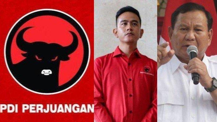 Gibran Disebut Tidak Tegak Lurus dengan Instruksi Partai, PDIP Sebut ... Gibran Disebut Tidak Tegak Lurus dengan Instruksi Partai, PDIP Sebut ...