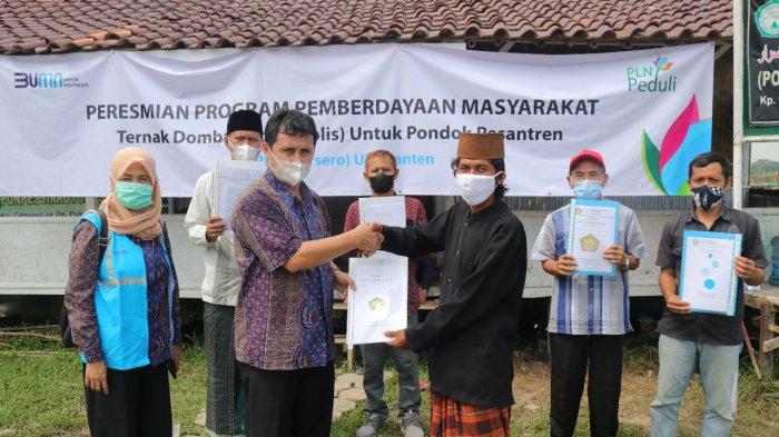 PLN UID Banten Melalui PLN Peduli Kembangkan Program Domba Listrik ...