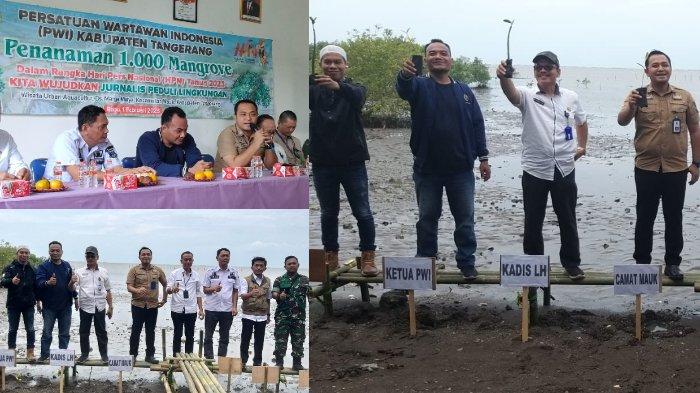 Jelang Hari Pers Nasional 2023, PWI Kabupaten Tangerang Tanam 1.000 Pohon Mangrove di Pesisir ...