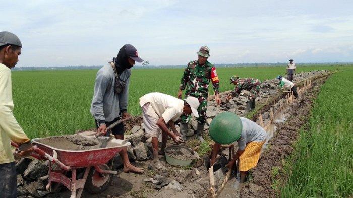 Babinsa Kedungreja Cilacap Kerja Bakti Bangun Talud Irigasi, Permudah ...