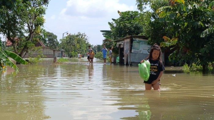 Sejumlah Desa di Grobogan Tergenang Banjir, Ratusan Rumah dan Puluhan Hektar Sawah Terendam ...