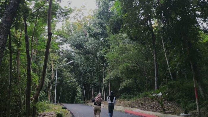 Jarang yang Tahu, Kota Semarang Punya Hutan Wisata yang Eksotis Namun ...