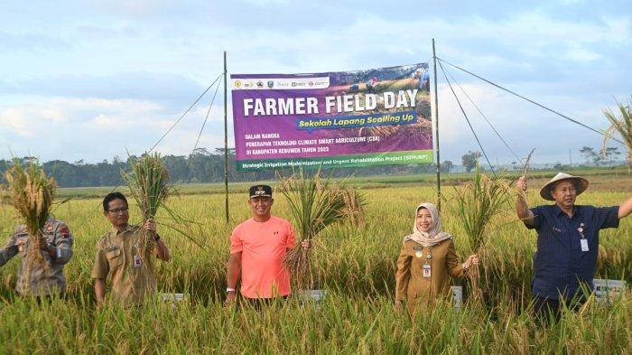 Petani Kebumen Panen Raya MT 2, Bupati Minta Padi Digiling di RMU ...