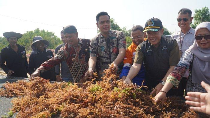 Pesisir Bondo Jepara Jadi Sentra Budidaya Rumput Laut - Tribunbanyumas.com