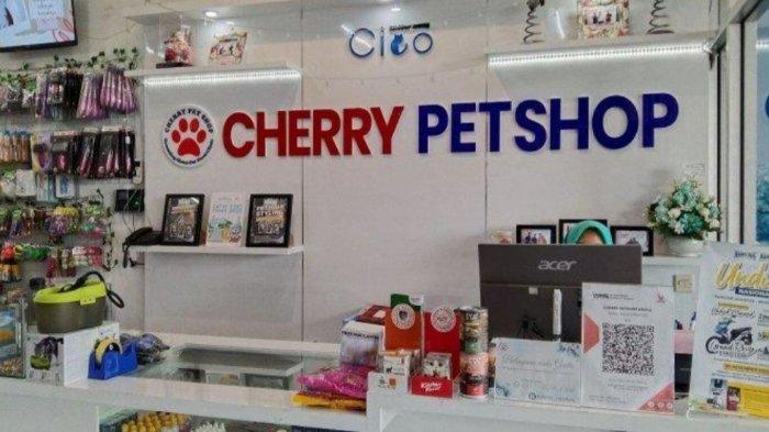 Cherry Pet Shop Berikan Pelayanan Lengkap, Ada Grooming Hingga Pet Clinic - Tribunbanyumas.com