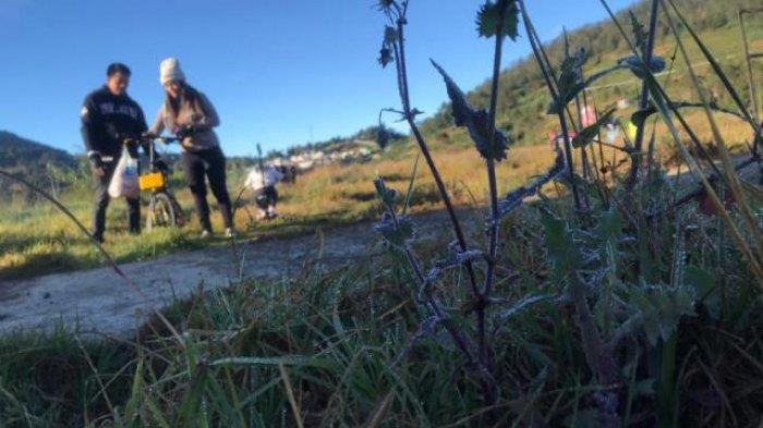 Ingin Lihat Embun Es Dieng? Biar Tidak Kecele Baiknya Kenali Dahulu ...