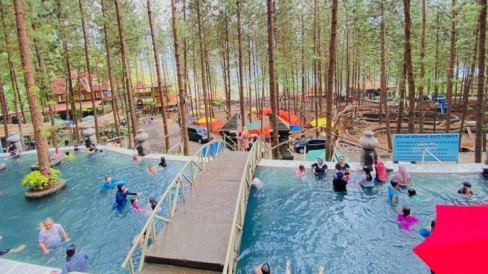 Makin Lengkap dengan Kolam Renang, Ini Fasilitas dan Harga Tiket Masuk Guci Forest Kabupaten ...