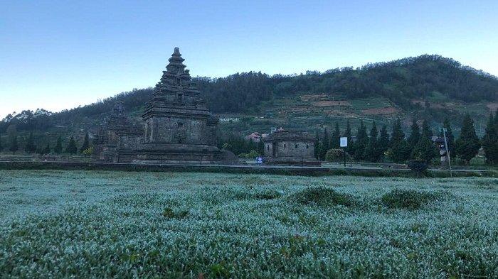 Dingin Banget, Kawasan Dieng Mulai Diselimuti Embun Es Bak Salju ...