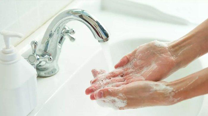 Cuci Tangan dengan Sabun dan Air Mengalir Lebih Efektif Hancurkan Virus ...