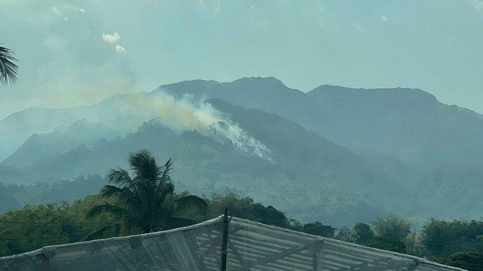 Kebakaran Sempat Melanda Gunung Ungaran Semarang, Melahap Semak Belukar ...
