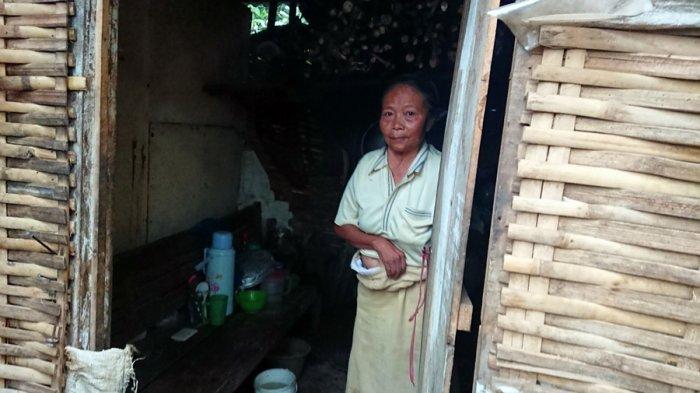 Kisah Ponem dan Turah di Batang, Dua Nenek Pemetik Teh Ini Huni Gubuk ...