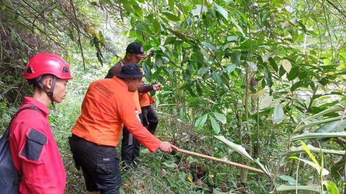 Nenek 80 Tahun Hilang di Kebun Teh Jolotigo Talun Pekalongan ...