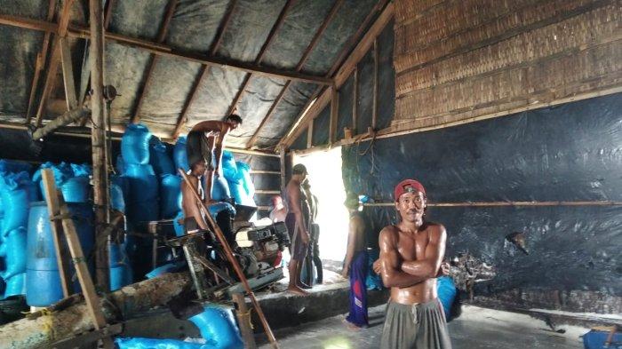 Harga Garam Naik Bermula dari Sini, Potret Petani Garam di Jepara di ...
