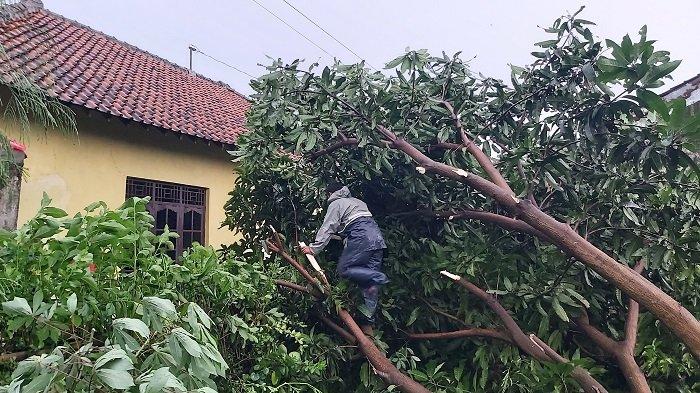 Waspada! Hujan Deras Disertai Petir dan Angin Kencang Diperkirakan Terjadi di Tegal hingga 15 ...