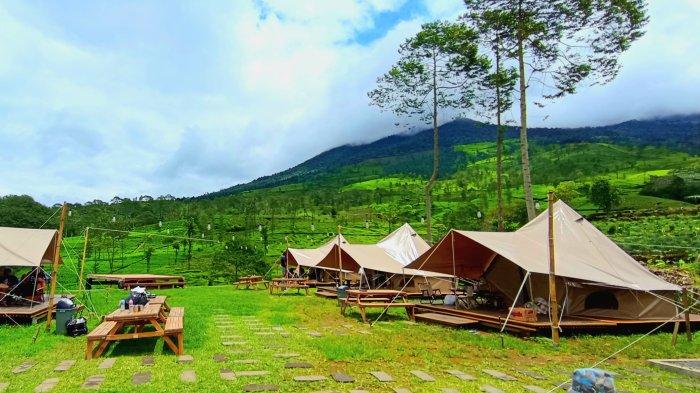 Wisata Camping Wonosobo di tengah Kebun Teh, Sikembang Glamping: Harga Permalam dan Fasilitas ...