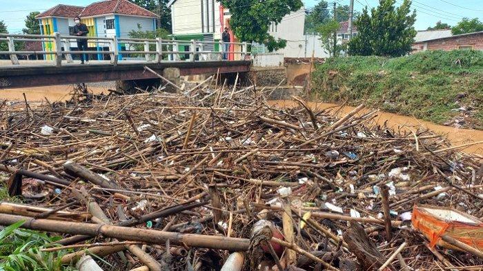 Ranting Pohon dan Sampah Domestik Hampir Tutupi Sungai Piji, Warga ...