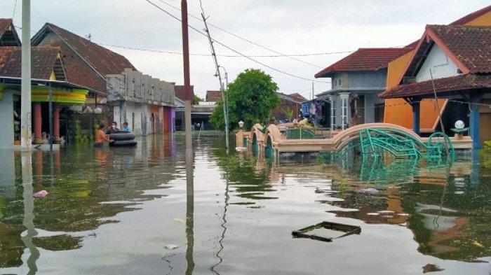 Sepekan Direndam Banjir, Sejumlah Warga di Sayung Demak Masih Bertahan di Rumah - Tribunbanyumas.com