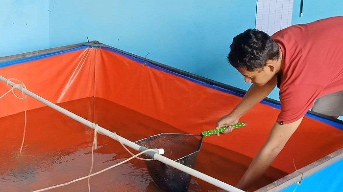 Berbekal Informasi dari Youtube, Warga Pekalongan Ini Sukses ...