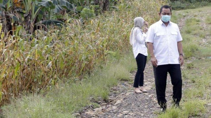 Dikembangkan Jadi Wisata Paralayang, Jalan Menuju Bukit Piramida ...