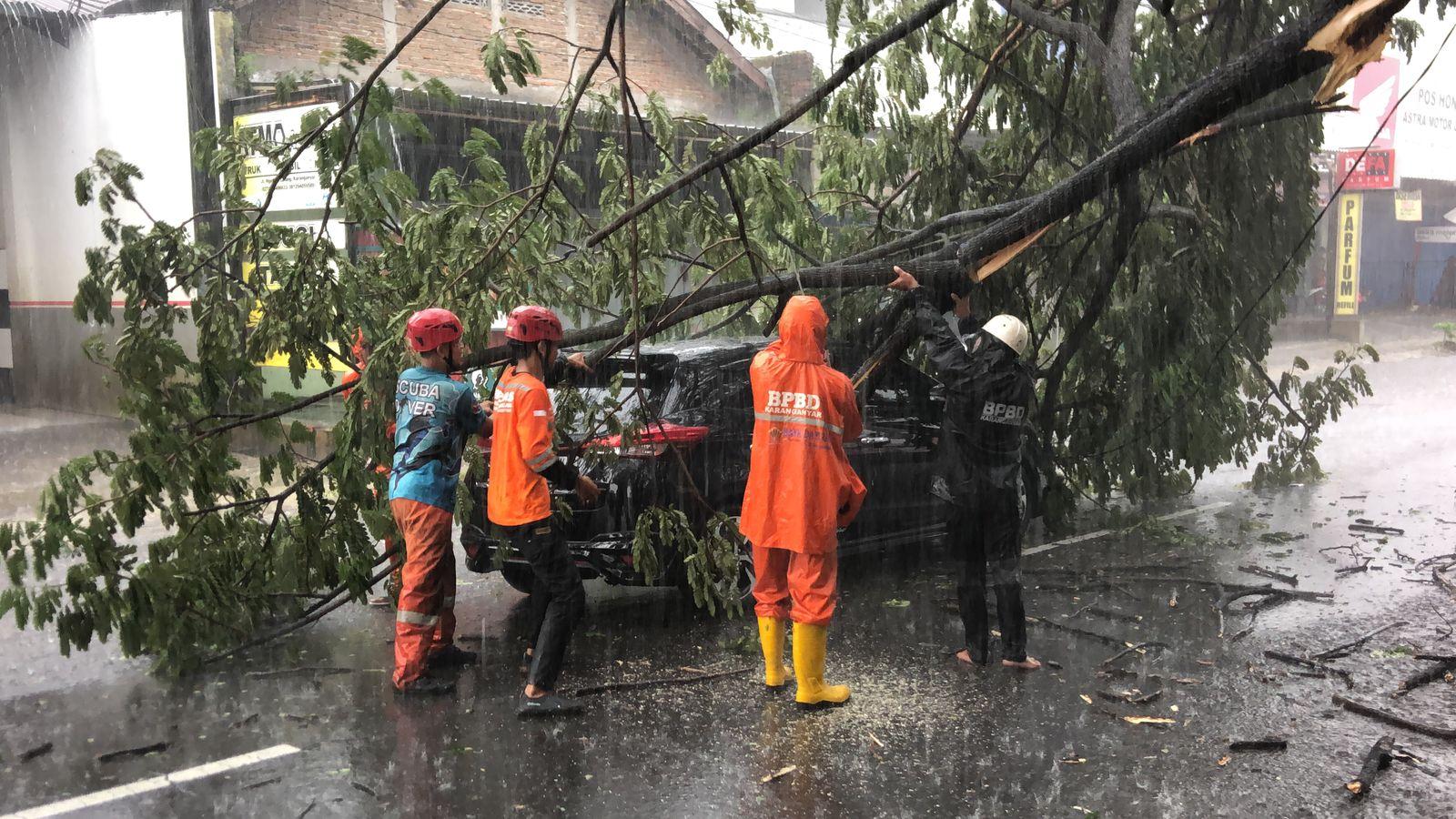 Hujan Disertai Angin Tumbangkan Pohon hingga Timpa Yaris di Karanganyar - Tribunbanyumas.com