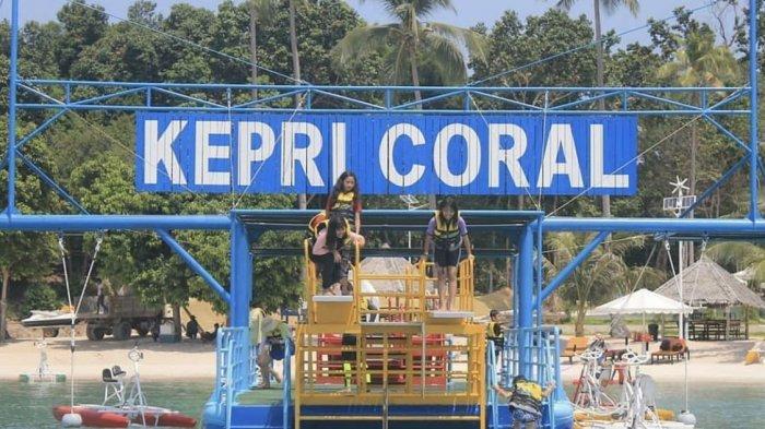 Promo One Day Tour Wisata Bahari ke Kepri Coral dari Traveilov, Per ...