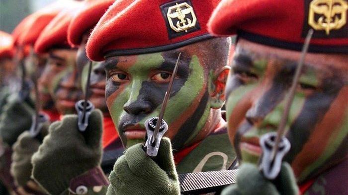 Mengenal Pasukan Tempur TNI AD dari Warna Baret, Hijau Infanteri hingga ...