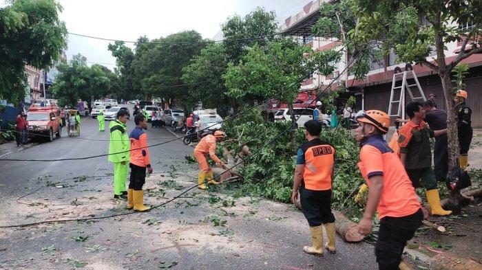 Petugas Evakuasi Pohon Tumbang di Jalan Engku Putri Tanjungpinang, Kabel Ikut Tertimpa ...