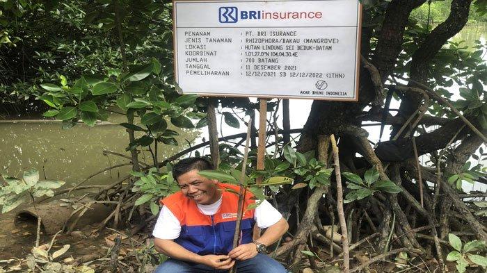 Lestarikan Lingkungan, BRI Insurance Cabang Batam Tanam 700 Bibit ...