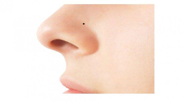 Arti Tahi Lalat di Hidung, Ujung Hidung Dapat Berpikir Cepat, Tulang ...
