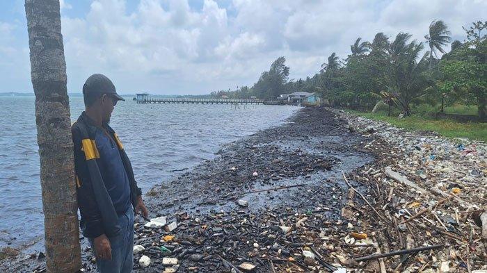 BREAKING NEWS - Limbah Minyak Hitam Kembali Cemari Pantai Sakera Bintan - Tribunbatam.id