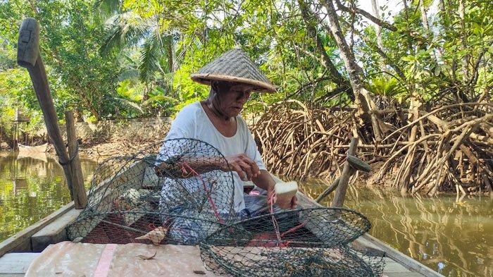 Melihat Kehidupan Nelayan Lingga, Hasilkan Cuan dari Tangkap Kepiting Bakau - Tribunbatam.id