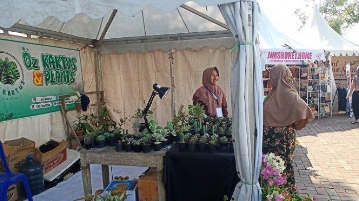 Cerita Rianita Warga Batam Raup Cuan Dari Kaktus, Kini Tinggal di ...