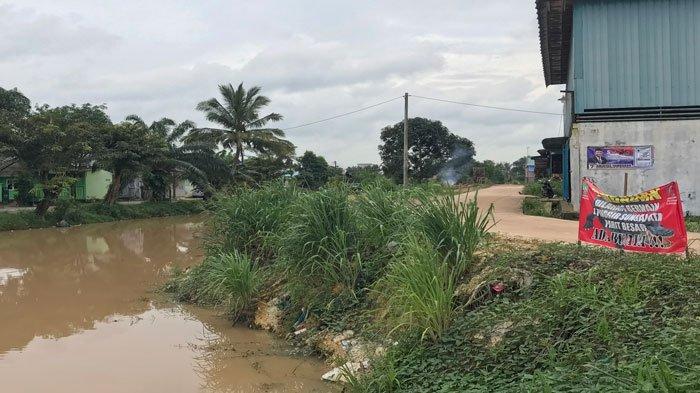 Waspada Buaya di Parit Sagulung Raya Batam, Warga Pasang Spanduk ...