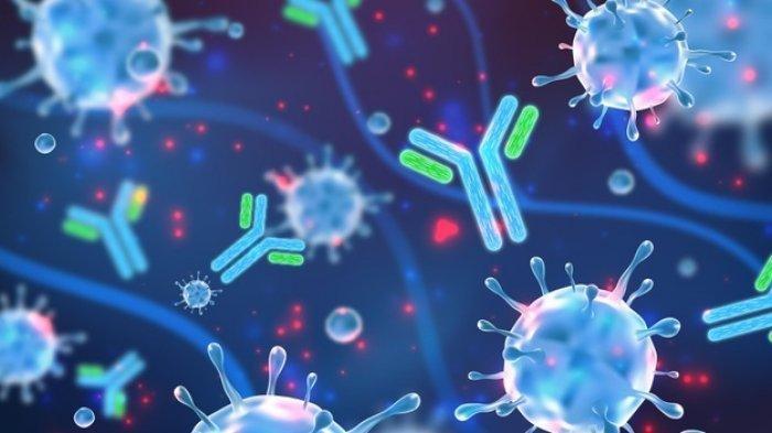 Mutasi Virus Corona N439K, Apakah Benar Lebih Berbahaya? - Tribunbatam.id