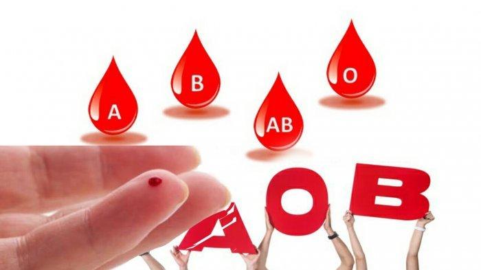 PENASARAN? Ini Golongan Darah yang Paling Disukai Nyamuk Berdasarkan ...