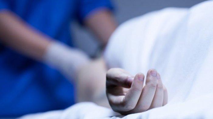 Kronologi Mahasiswi Tewas Bersama Janin di Kamar Kos Jember, Ternyata Dipaksa Minum Obat Aborsi ...